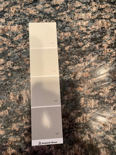 light neutral paint color