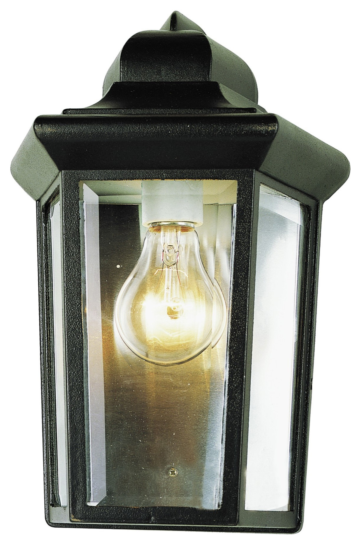 Trans Globe Lighting 4483 Traditional 1 Light Down Lighting ...