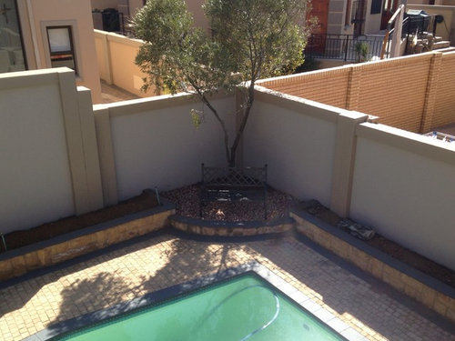 Need ideas on how to extend garden walls for more privacy