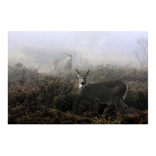 "The Rut In On White-Tailed Deer" Digital Paper Print by Jim Cumming ...