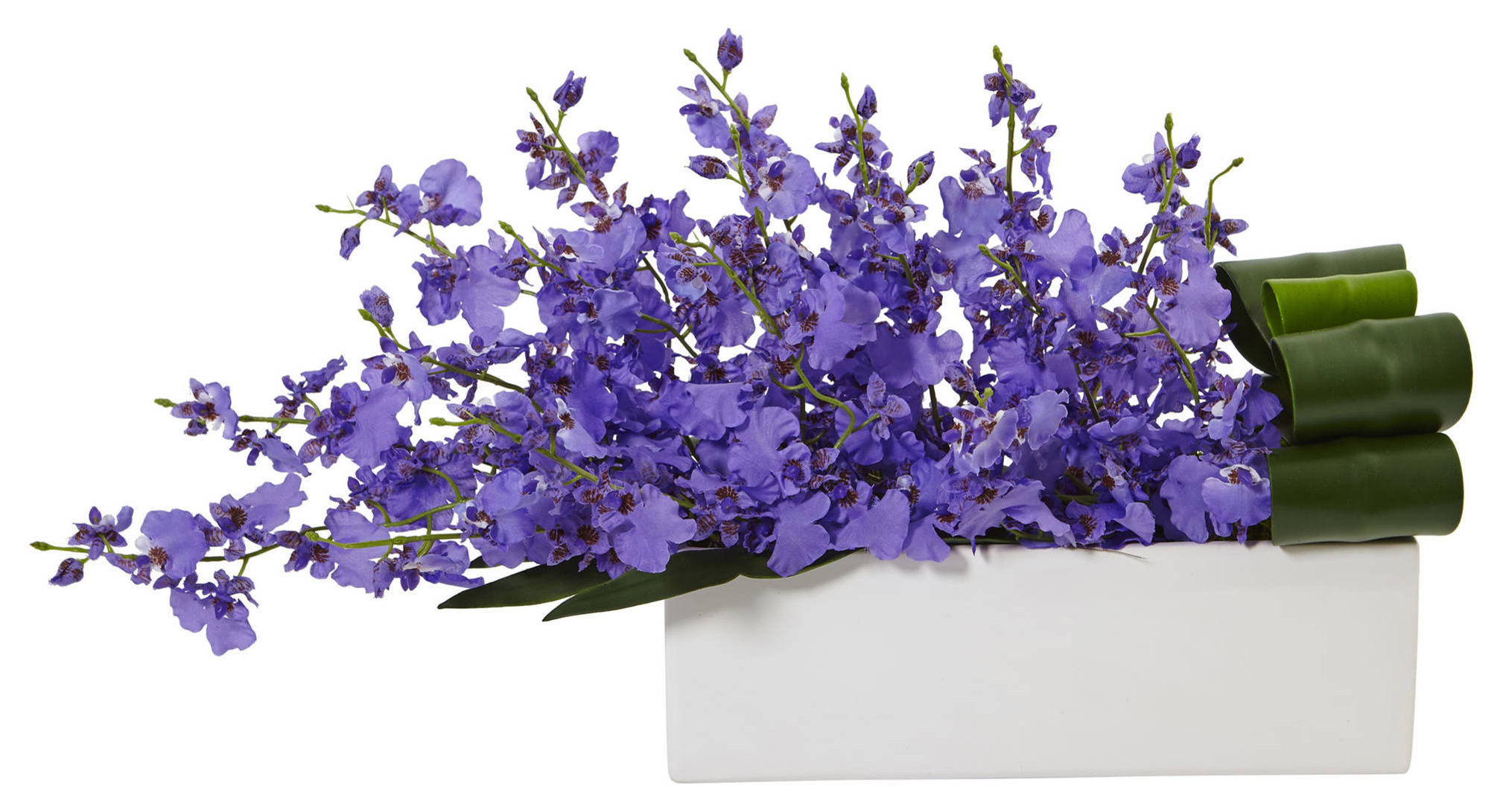 Dancing Lady Orchid in Rectangular Ceramic Planter - Contemporary ...
