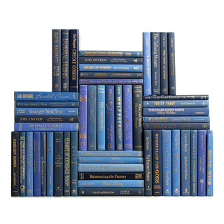 Modern Book Wall Set, Set of 50 - Contemporary - Books - by Booth ...