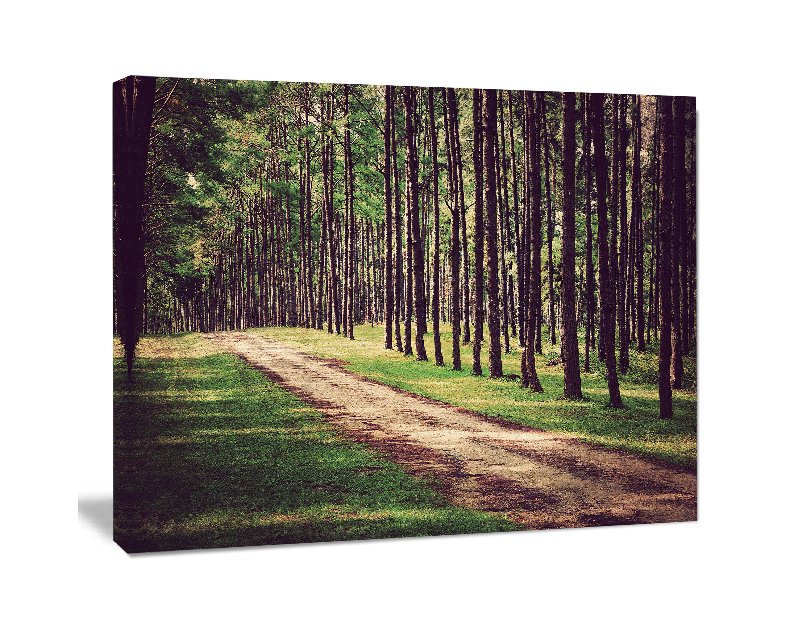 Vintage Style Forest with Pathway, Modern Forest Canvas Art, 20"x12 ...
