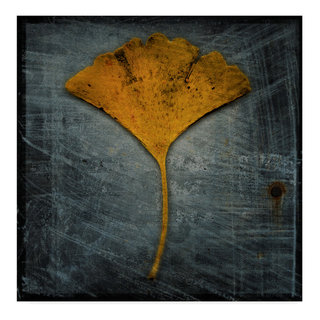 John W. Golden 'Gingko Blue' Canvas Art, 24"x24" - Contemporary ...