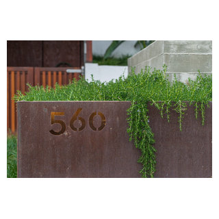 Rimini - Midcentury - Landscape - San Diego - by Falling Waters ...