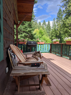 Evergrain deck Disintegrating