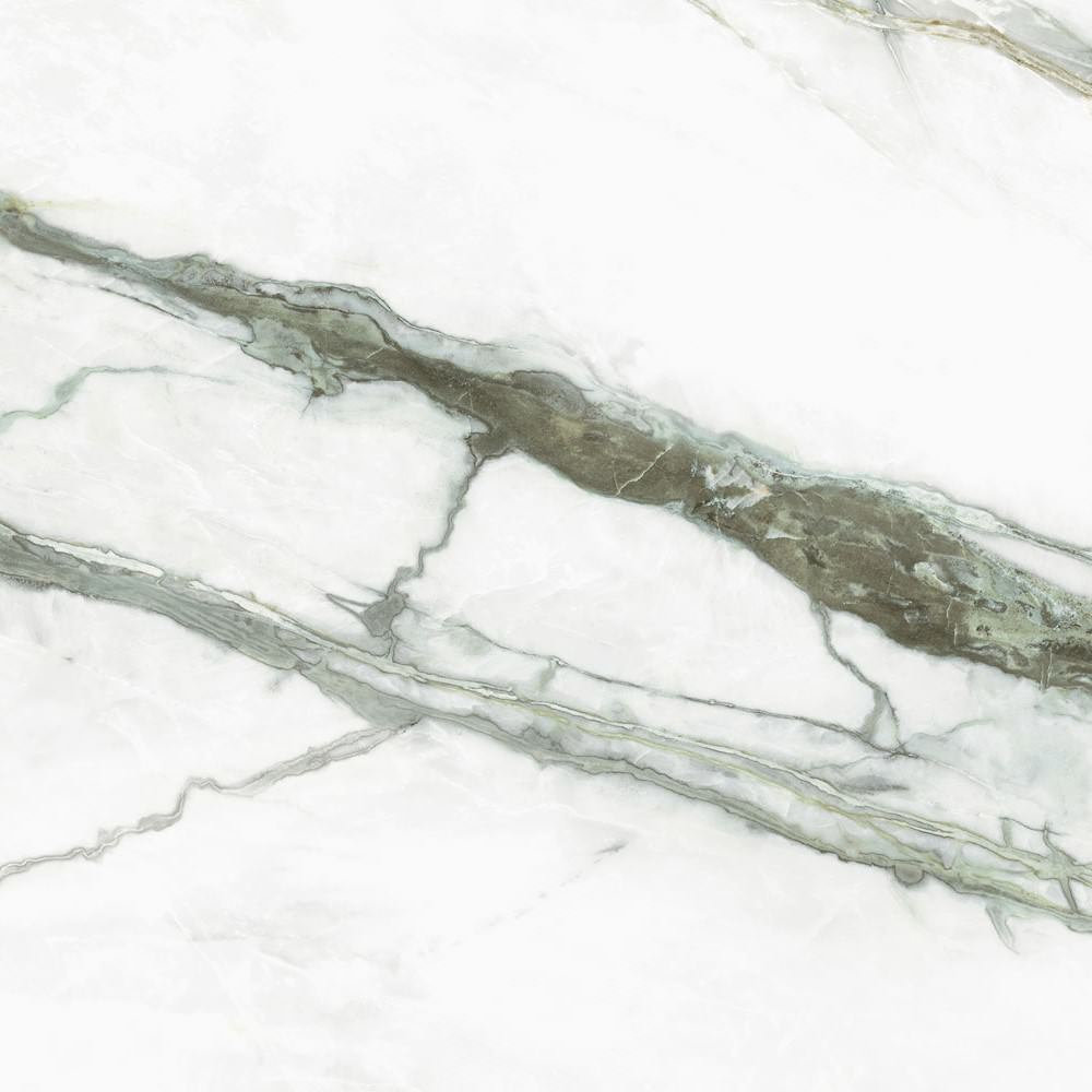 Calacatta Green Polished Porcelain Tile, 48"x48" - Contemporary - Wall ...