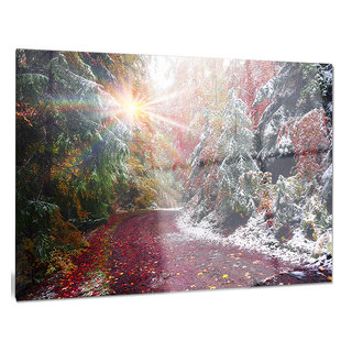 "Breathtaking View of Aline Forest" Photo Metal Wall Art, 40"x30 ...