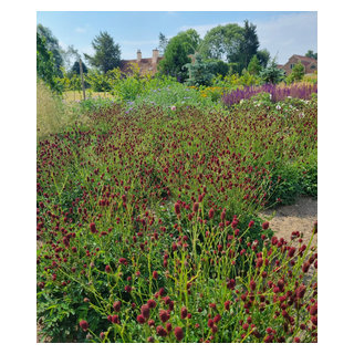 Large perennial prairie style planting design - Contemporary ...