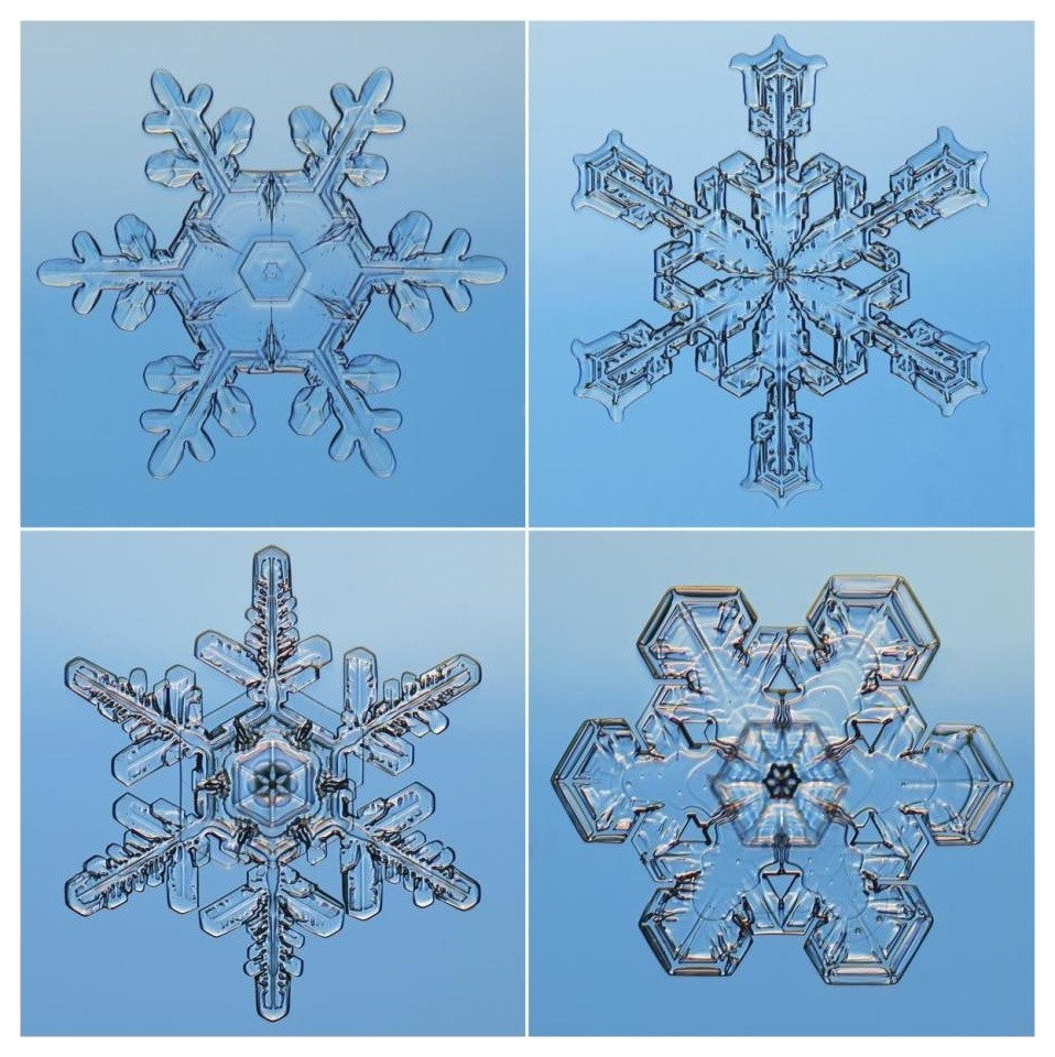 "Snowflakes seen through microscope" Paper Print by Steve Gettle, 20 ...