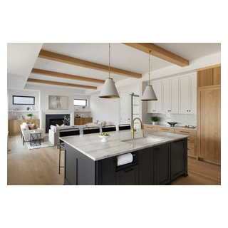 Modern Ridge Two-Story - Modern - Living Room - Minneapolis - by ...