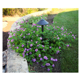 Jester's Crown - Contemporary - Landscape - Austin - by Native Edge ...