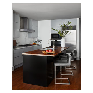 Downtown Chicago Residence - Contemporary - Kitchen - Chicago - by Dena ...