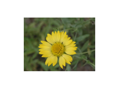 new: Color of the month for May - Yellow!