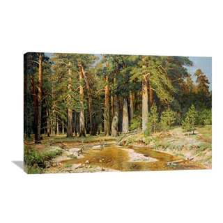 "The Mast-Tree Grove, Study" Canvas Giclee by Ivan Ivanovich Shishkin ...