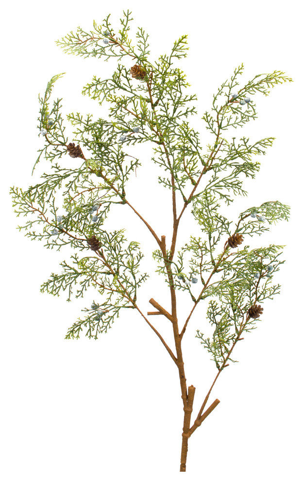 Cedar Spray, 6-Piece Set - Traditional - Christmas Decorations - by ...