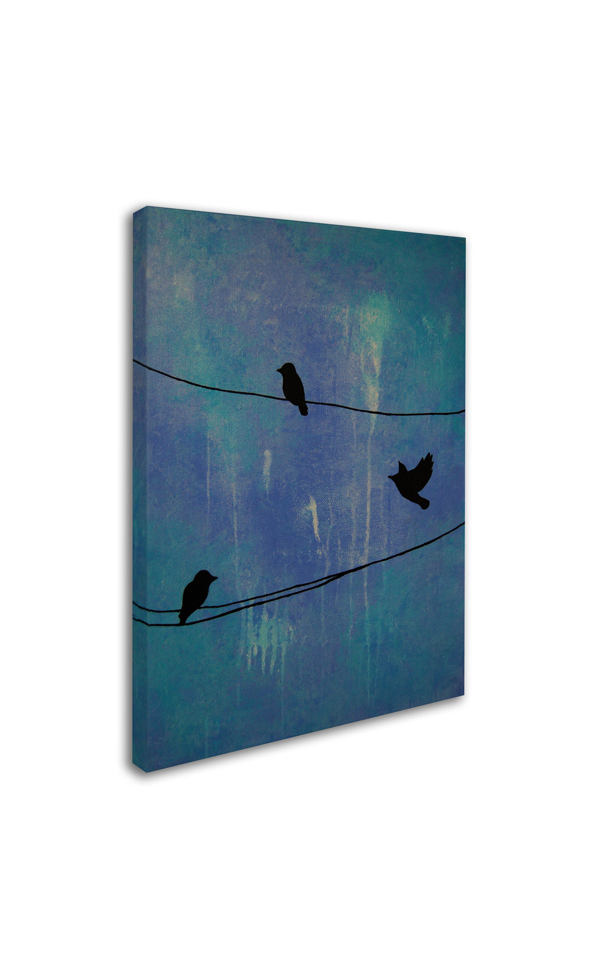 'Birds Arrival' Canvas Art by Nicole Dietz, 24" x 32" - Traditional ...