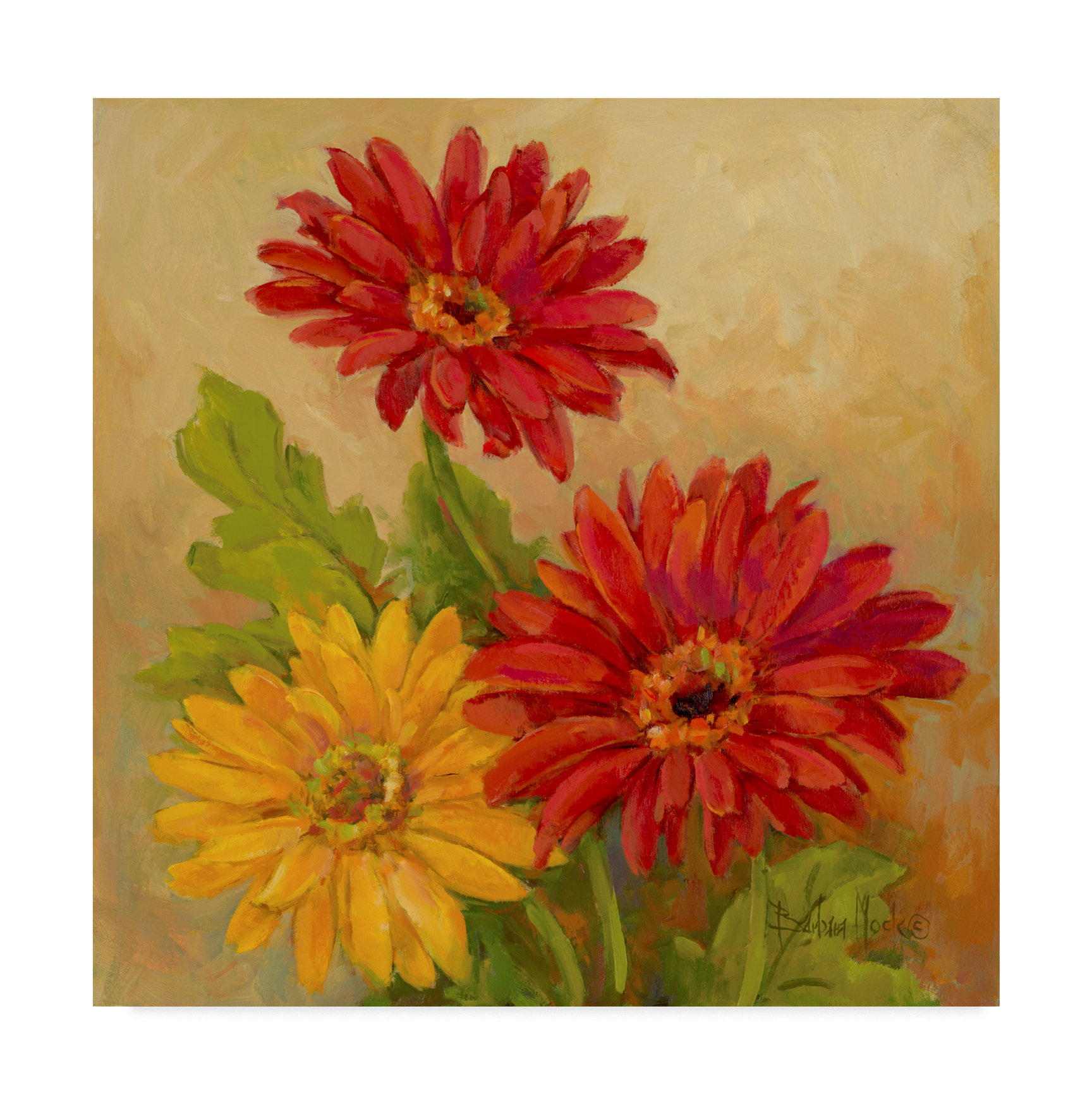 Barbara Mock ' Gerber Daisies' Canvas Art, 24"x24" - Contemporary ...