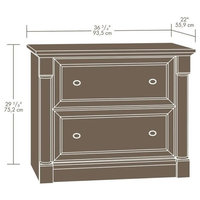Bowery Hill 2Drawers Lateral Cherry Engineered Wood Filing Cabinet Easy Assembly - Transitional ...