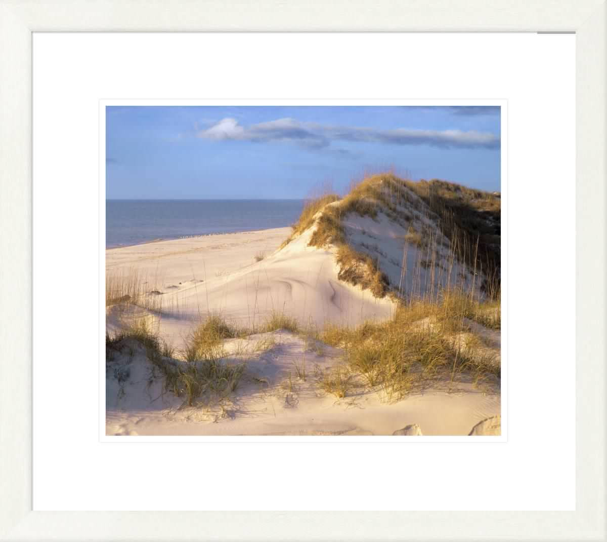 "Coastal sand dunes, Saint Joseph Peninsula, Florida" by Tim Fitzharris ...