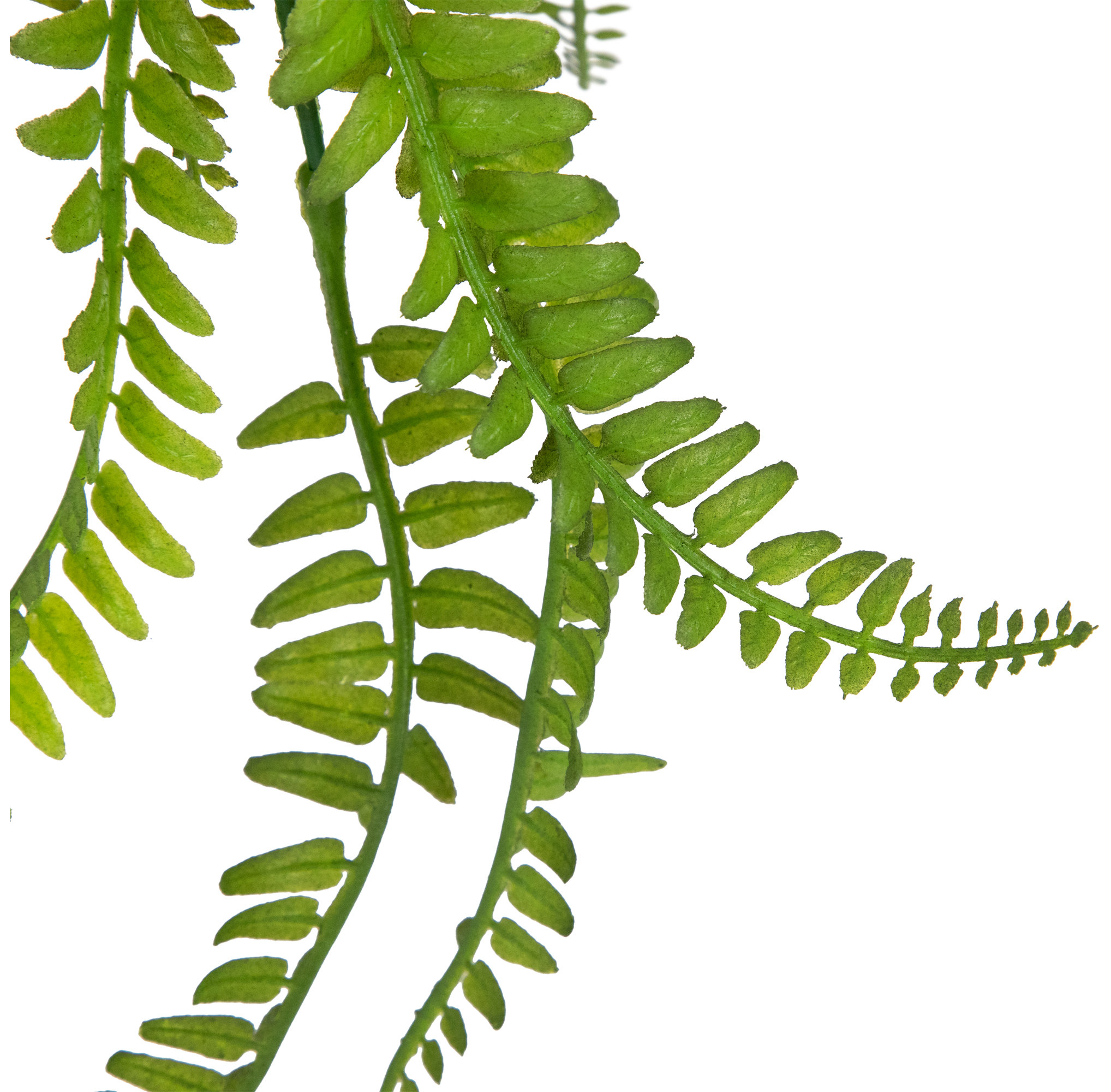 18" Artificial Fern Plant With Moss Ball and Hanging Jute Cord - Modern ...