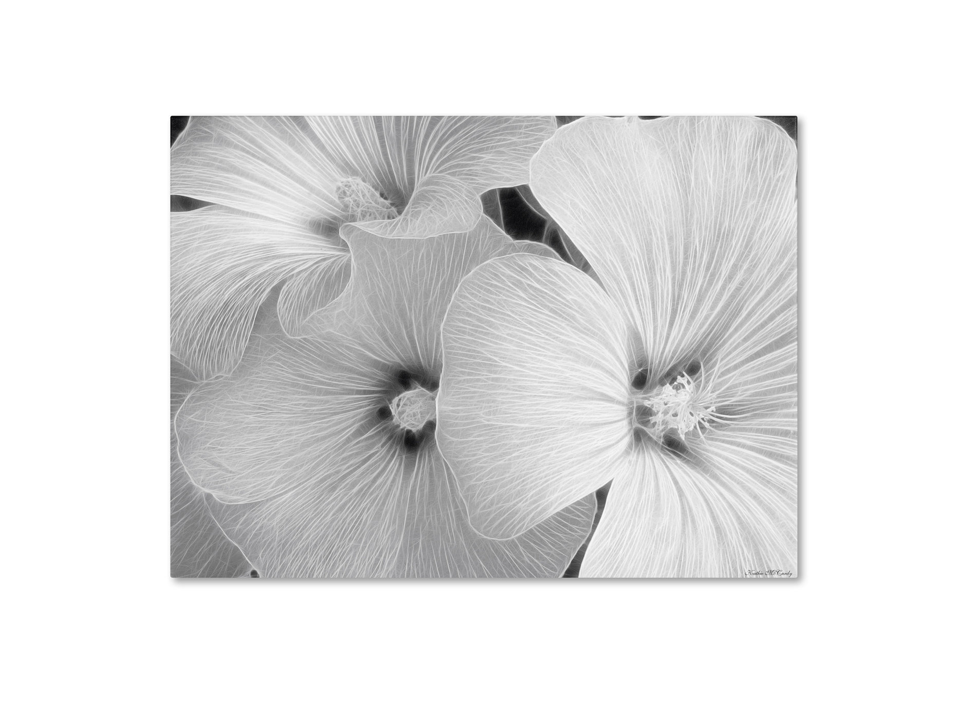 'Sheer Malva' Canvas Art by Kathie McCurdy, 35" x 47" - Traditional ...
