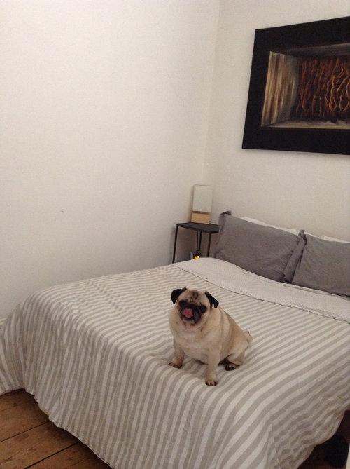 Boring white bedroom | Houzz UK