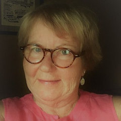 LAURA MARR BAUR INTERIOR DESIGN - Project Photos & Reviews - Ann Arbor ...