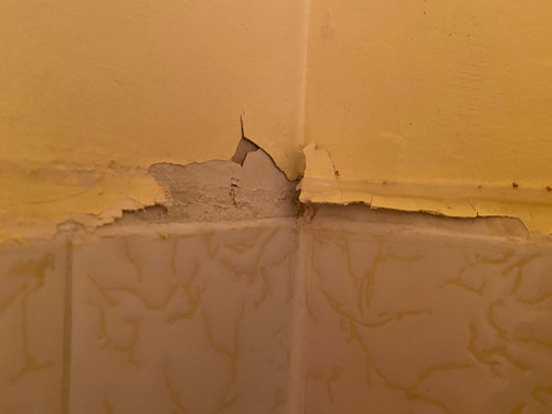 Drywall damaged above shower tiles