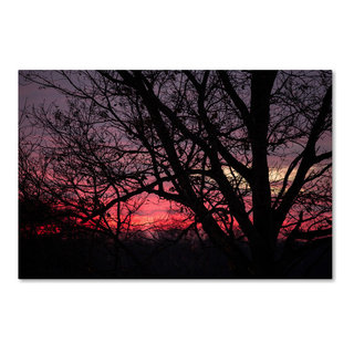 Jason Shaffer 'Pink Sunset' Canvas Art, 32 x 22 - Contemporary - Prints ...