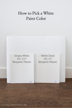Warm White Exterior Color