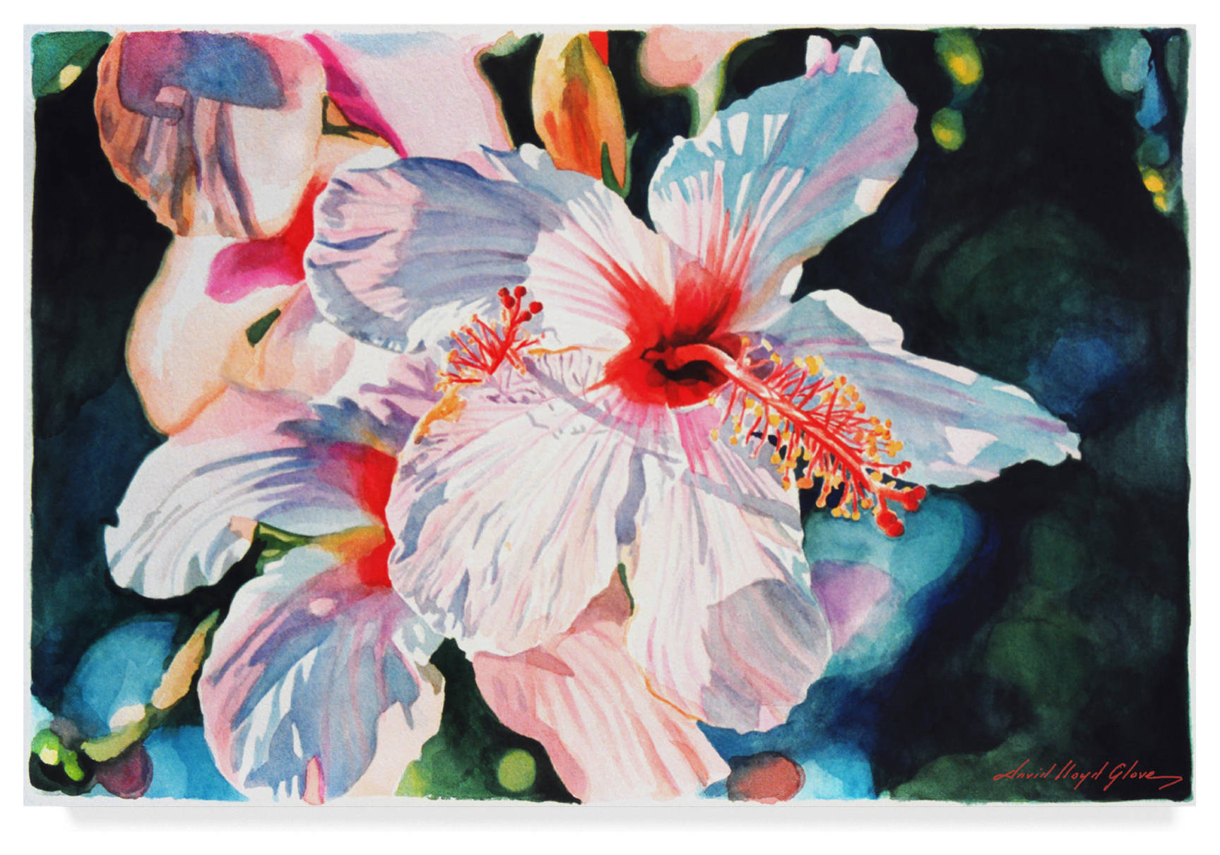 "Hawaiian Hibiscus" by David Lloyd Glover, Canvas Art, 12"x19 ...