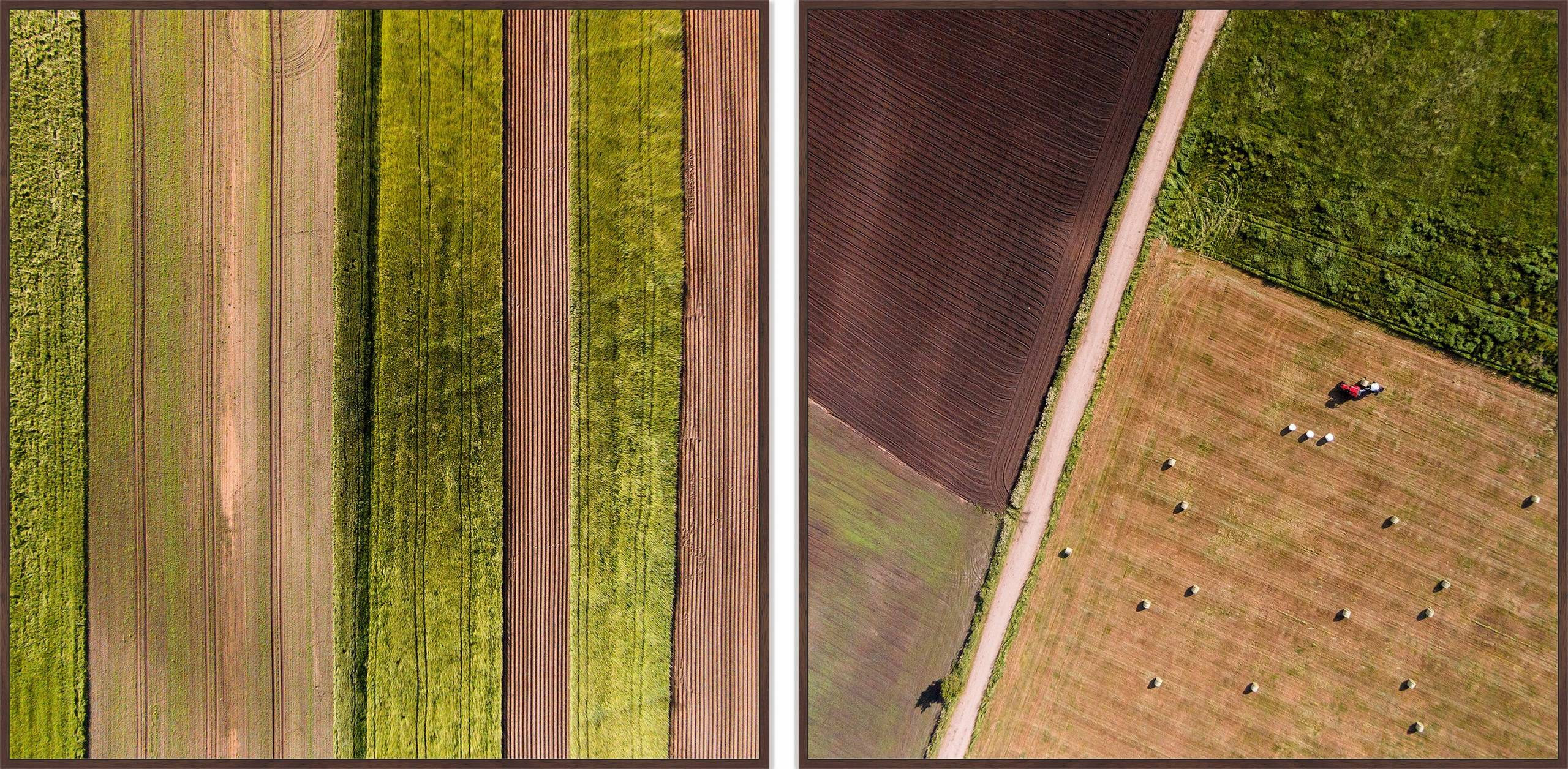 Farm Rows Diptych, 40x20 - Contemporary - Prints And Posters - by ...