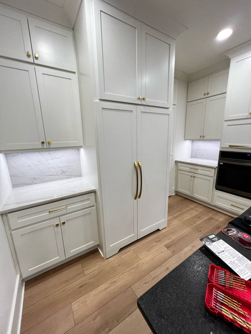 Samsung Bespoke Fridge - Panel Ready? | Houzz Forum
