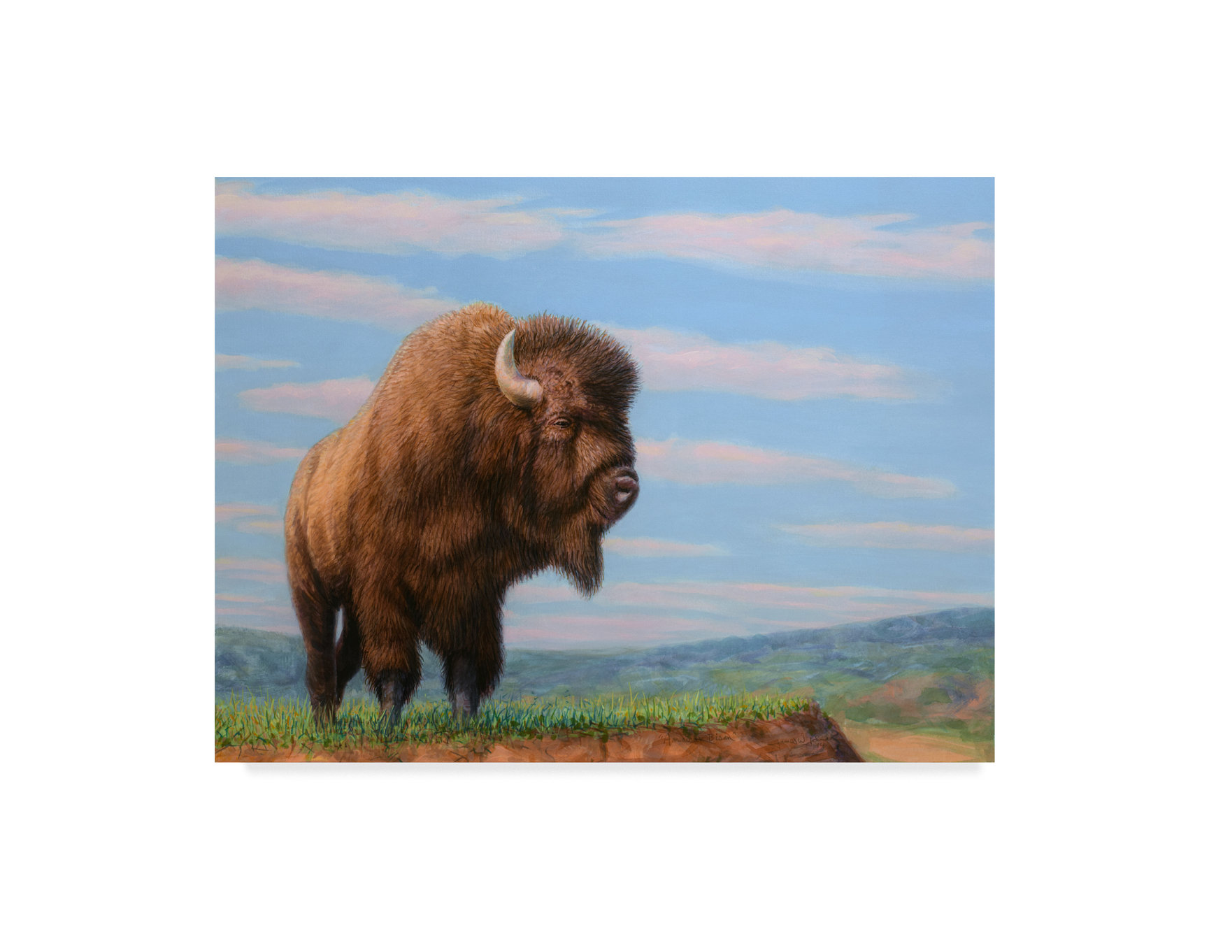 James W. Johnson 'American Bison' Canvas Art, 19"x14" - Southwestern ...