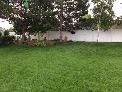 Depressing backyard.