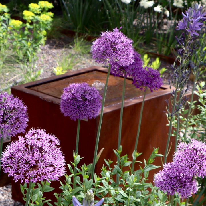 75 Hochbeet Garten Ideen & Bilder | Houzz