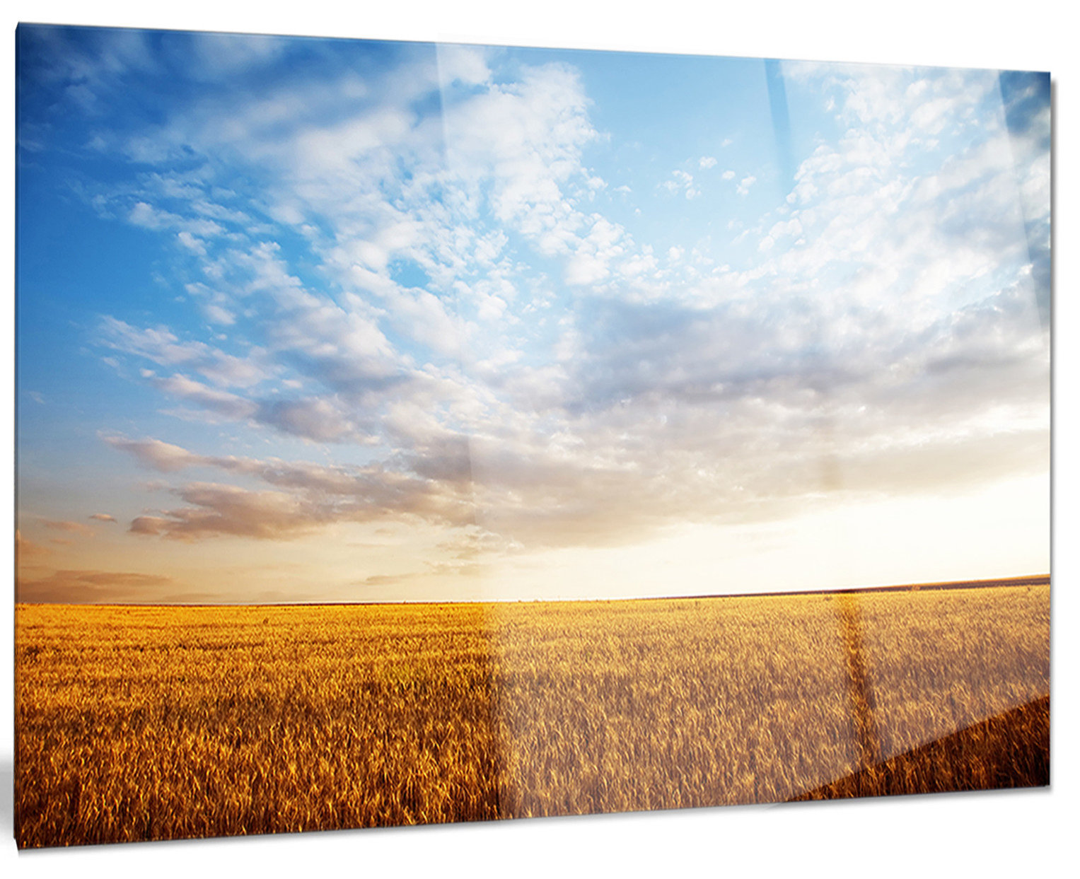"Wheat Field under Summer Sky" Metal Wall Art, 28"x12" - Farmhouse ...
