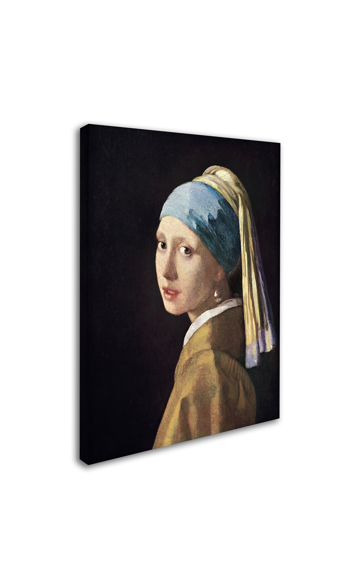 Johannes Vermeer 'Girl with a Pearl Earring' Canvas Art, 32"x24 ...