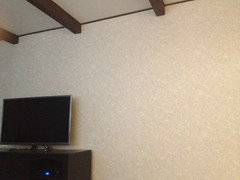 Wall lining over paneling