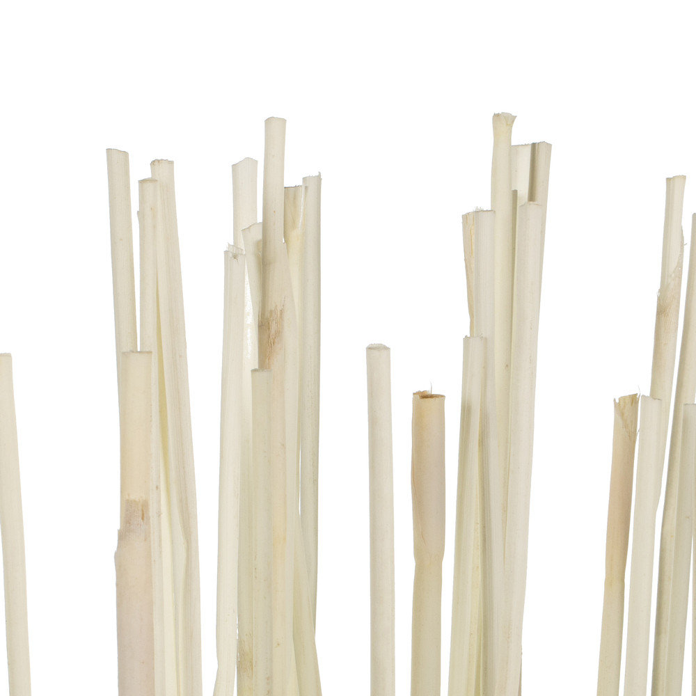 Vickerman H1ELR999 40 Bleached Elephant Reed, 10 oz Bundle, Dried ...