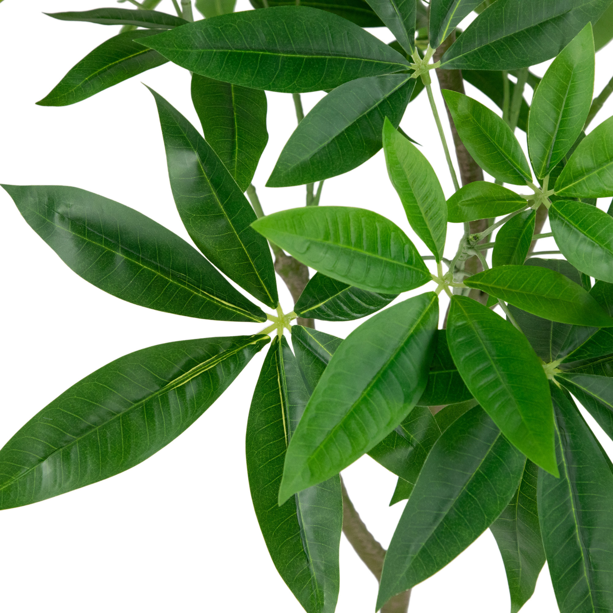 4' Artificial Unbraided Potted Green Money Tree - Modern - Artificial ...