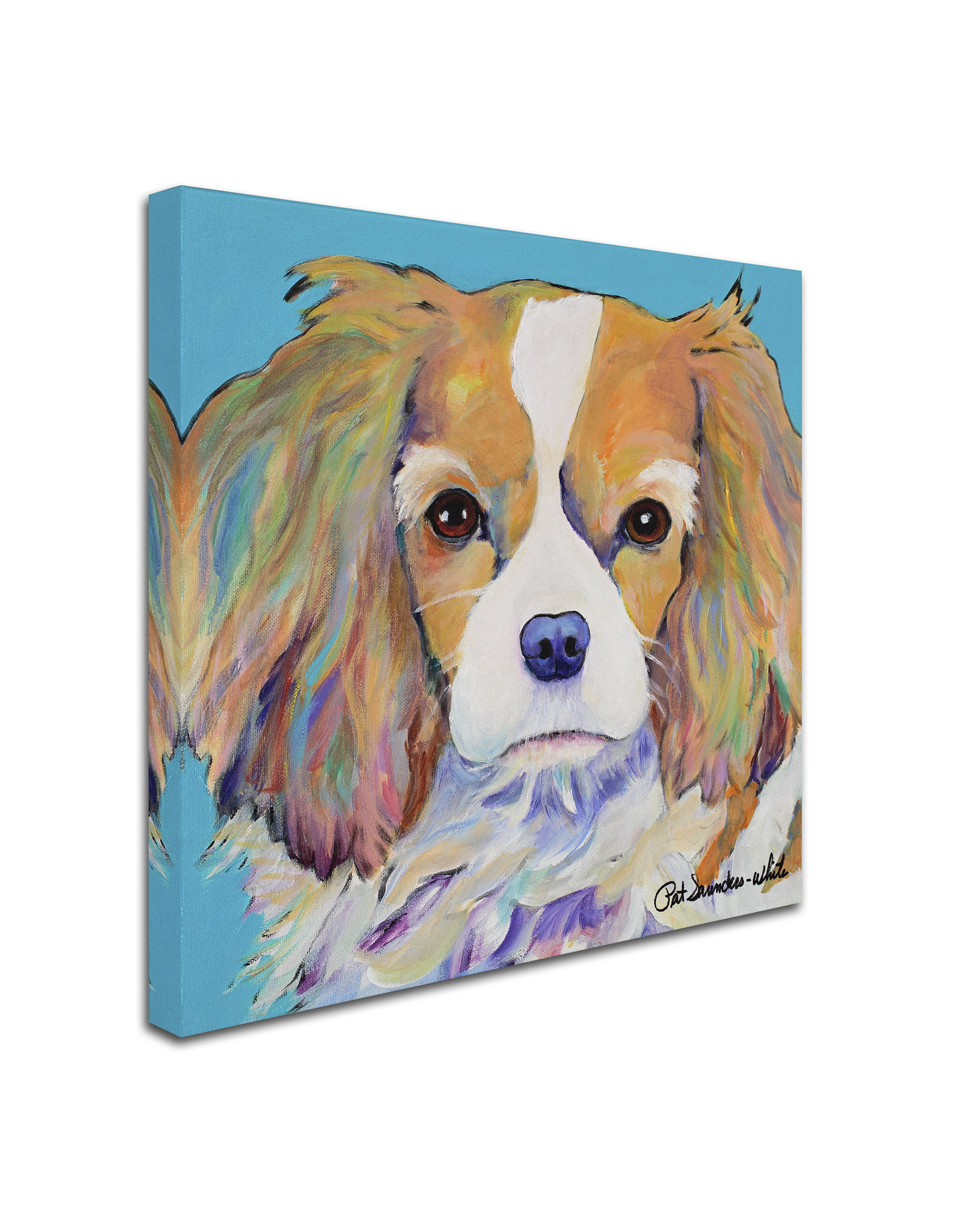 Pat Saunders-White 'Dagney' Canvas Art, 14"x14" - Contemporary - Prints ...