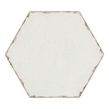 THE 15 BEST Farmhouse Hexagon Wall and Floor Tile for 2022 | Houzz