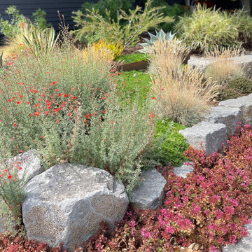 75 Rock Front Yard Landscaping Ideas You'll Love - June, 2024 | Houzz