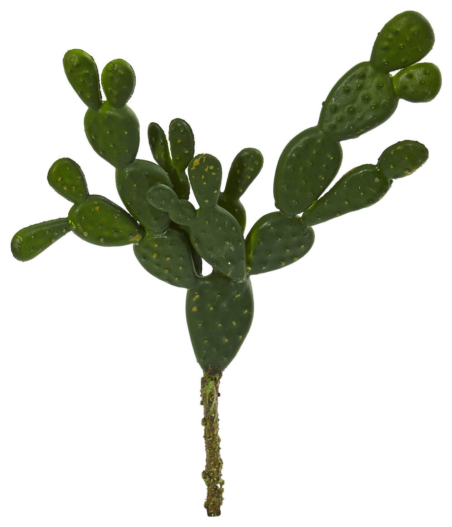 10" Cactus Pick Artificial Plant, Set of 12 - Transitional - Artificial ...
