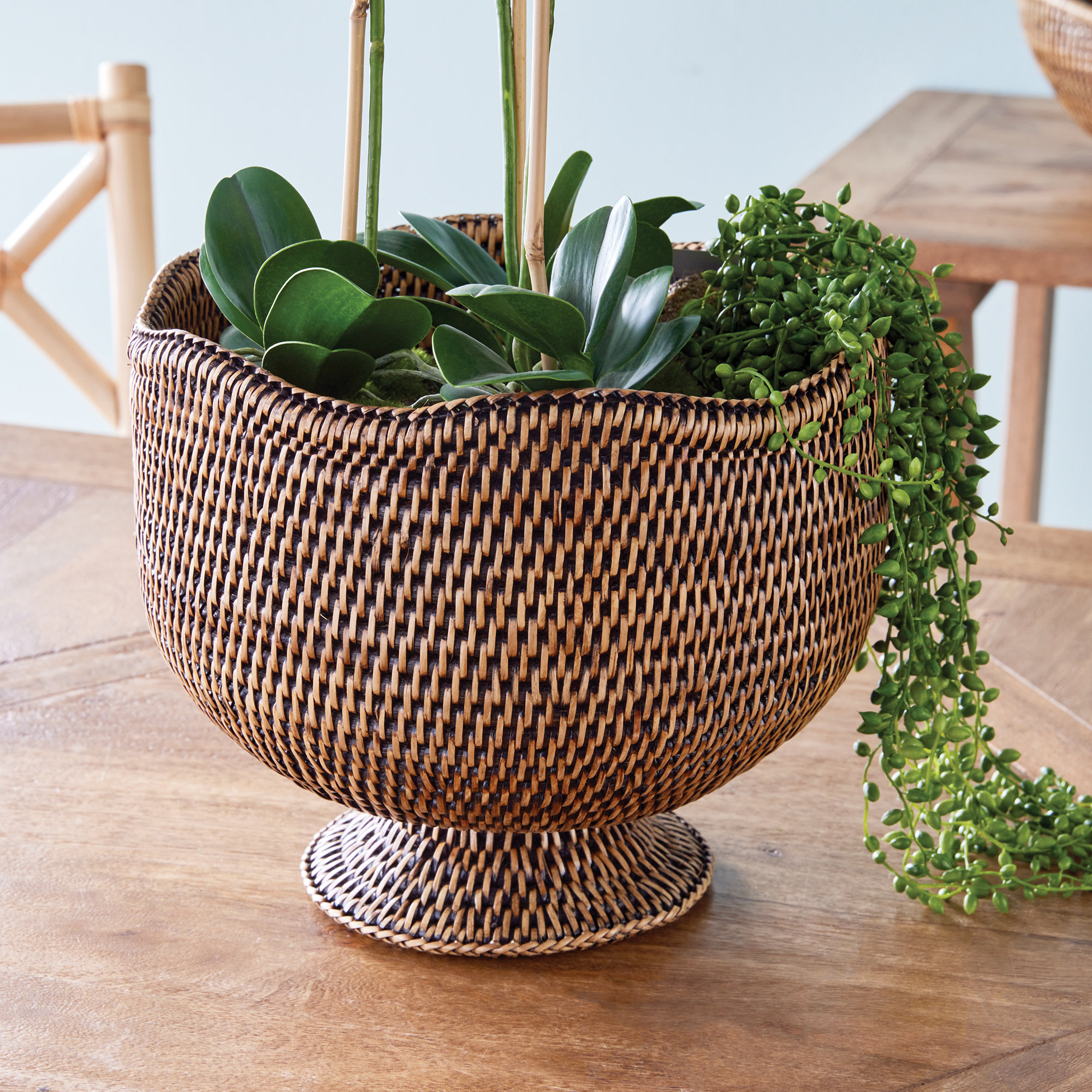 Burma Rattan Footed Cachepot - Tropical - Indoor Pots And Planters - by ...