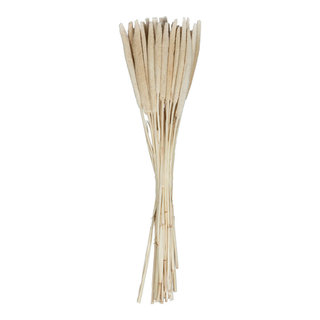 24" Babala Bleached Stems 50-Pack - Contemporary - Artificial Plants ...