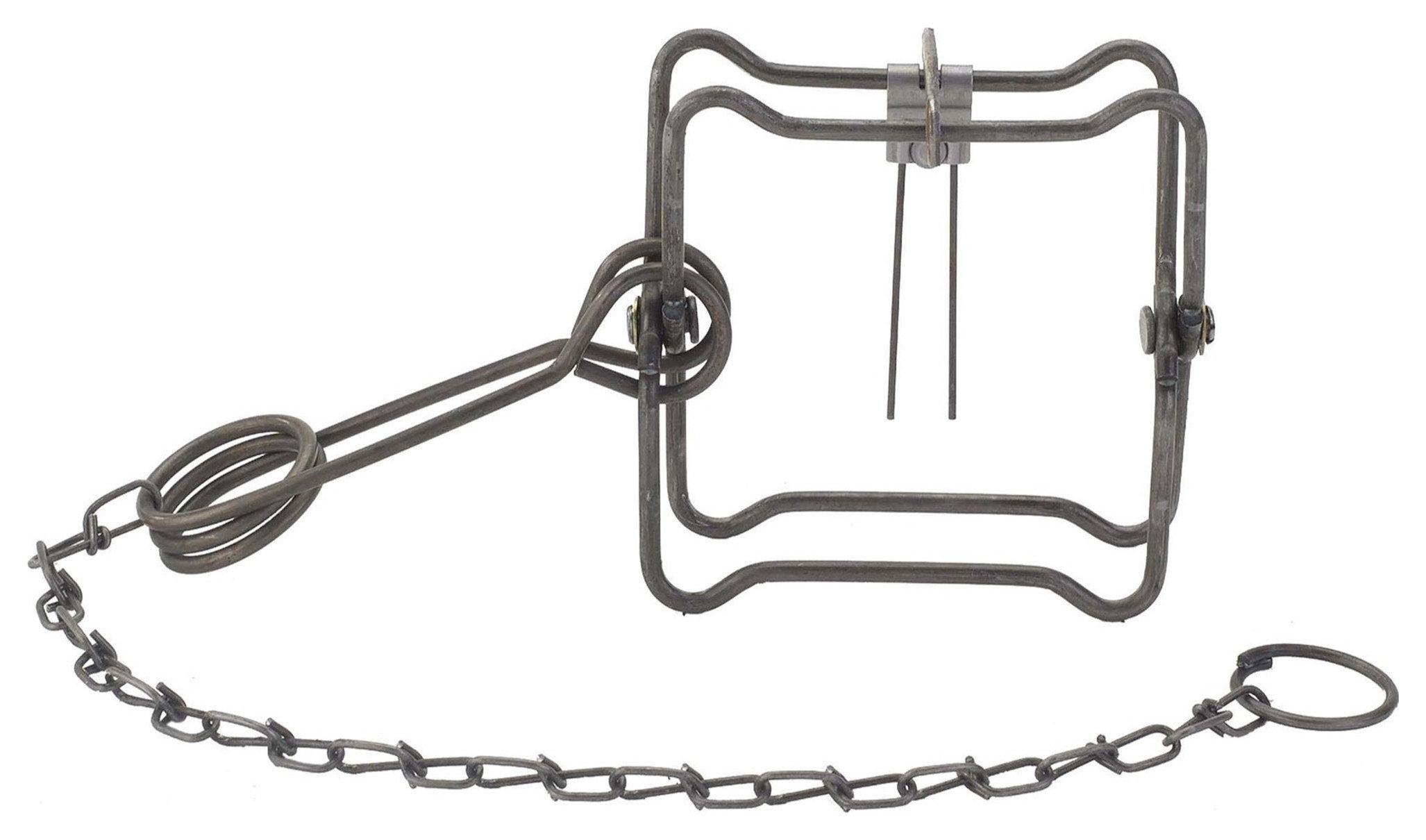 Duke Traps Body Trap for Mink, Muskrat, Weasel, 4.5 Jaw Spread ...