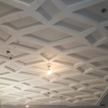 Decorative Plaster Ceiling - Photos & Ideas | Houzz